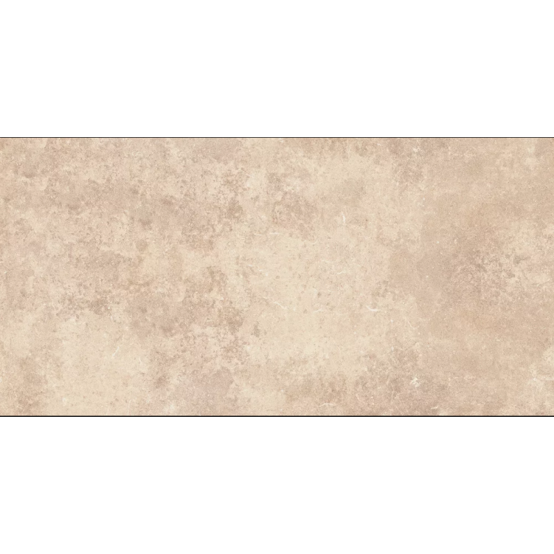 AIN ARENA 60X120 IN/OUT